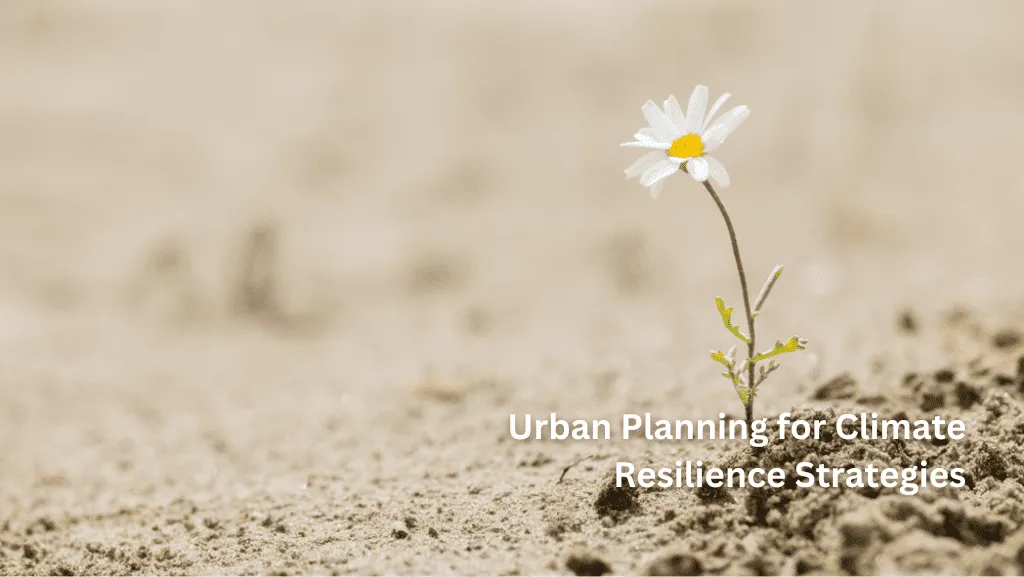 Urban Planning for Climate Resilience Strategies